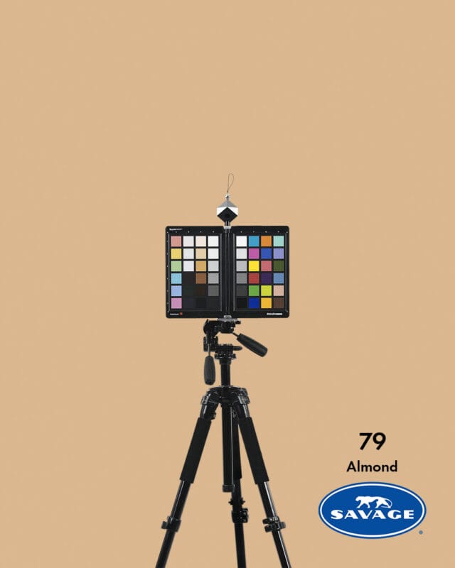 Savage Seamless Paper Background – #79 Almond