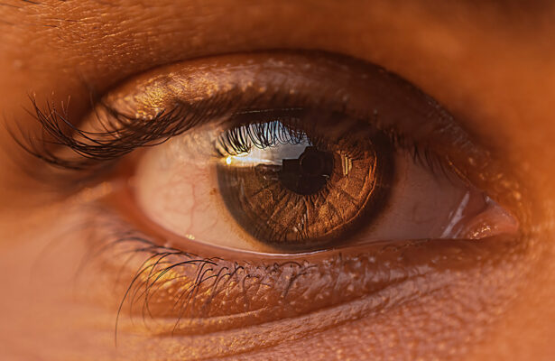 Why does Color look different on Screen and in Real Life?